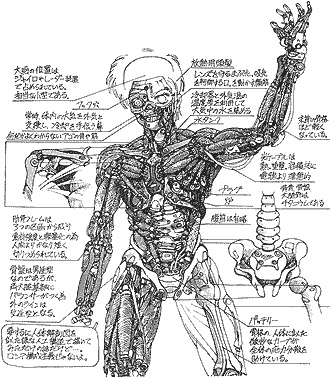 Full Body Conversion packags